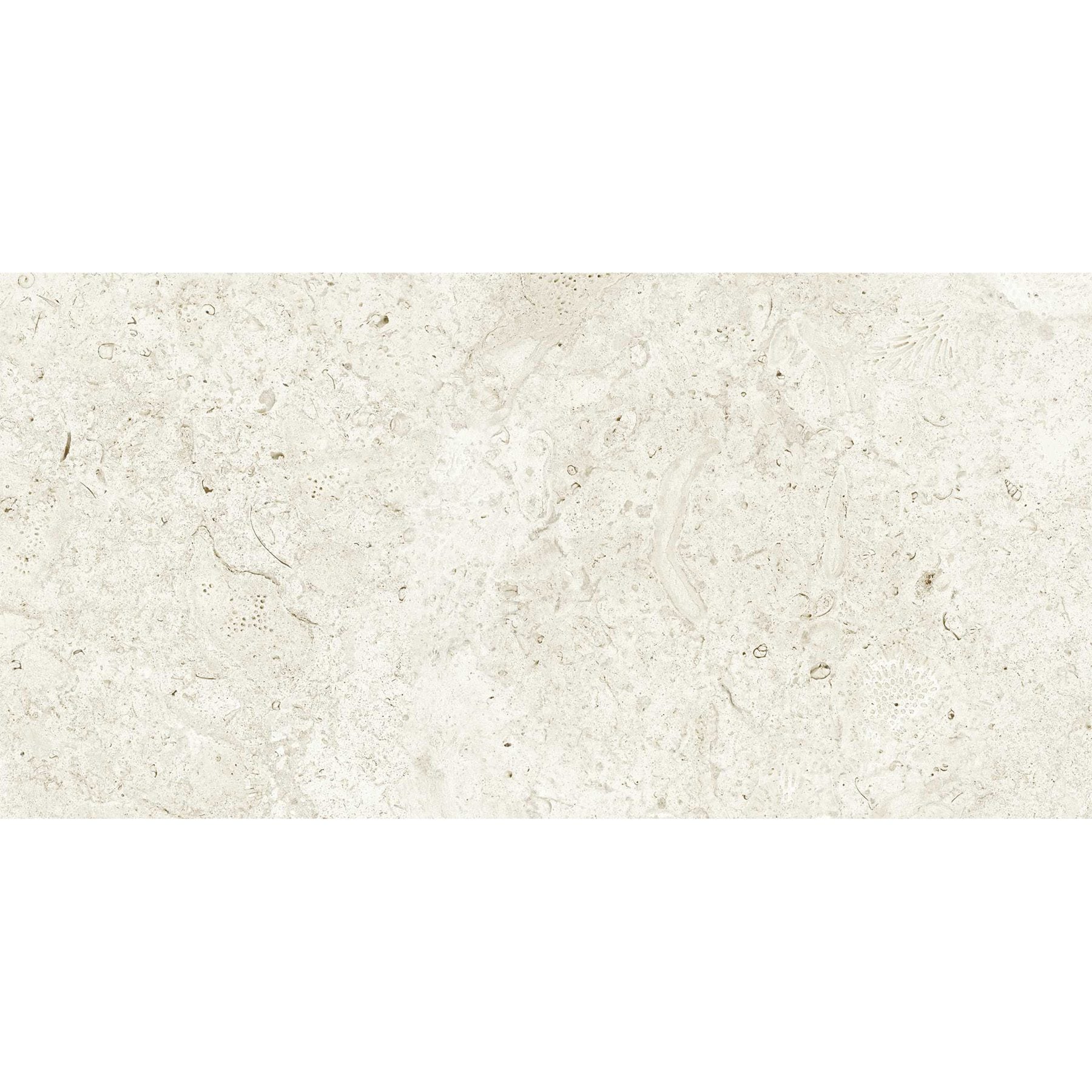 12X24 CORALINA BONE | Sarasota Wholesale Tile Supply