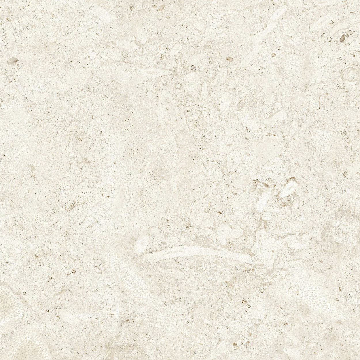 24X24 CORALINA BONE | Sarasota Wholesale Tile Supply