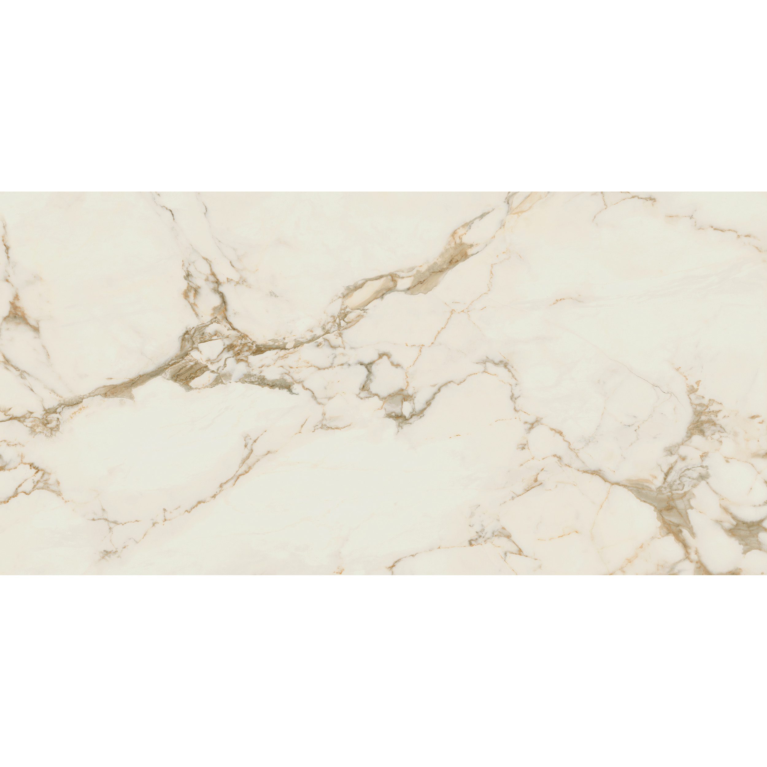 24X48 PRESTIGE CALACATTA GOLD SOFT PORCELAIN MATTE | Sarasota Wholesale ...